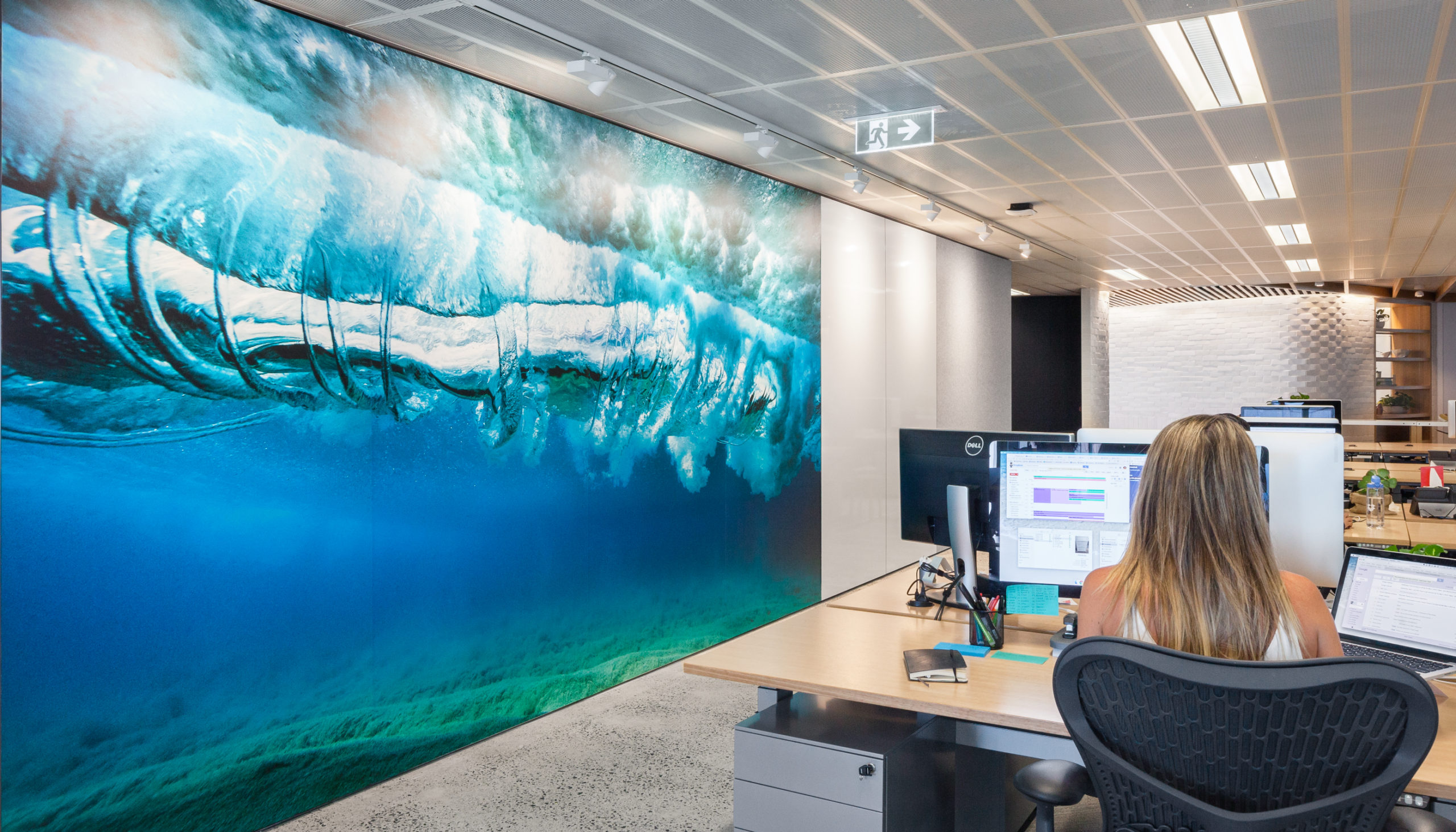 Dropbox Sydney Environmental Graphic Design - Case Study