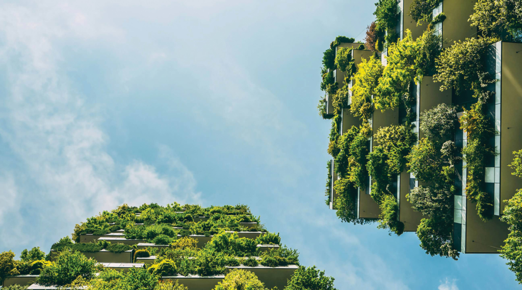 Carbon Modelling - Sustainable Solutions